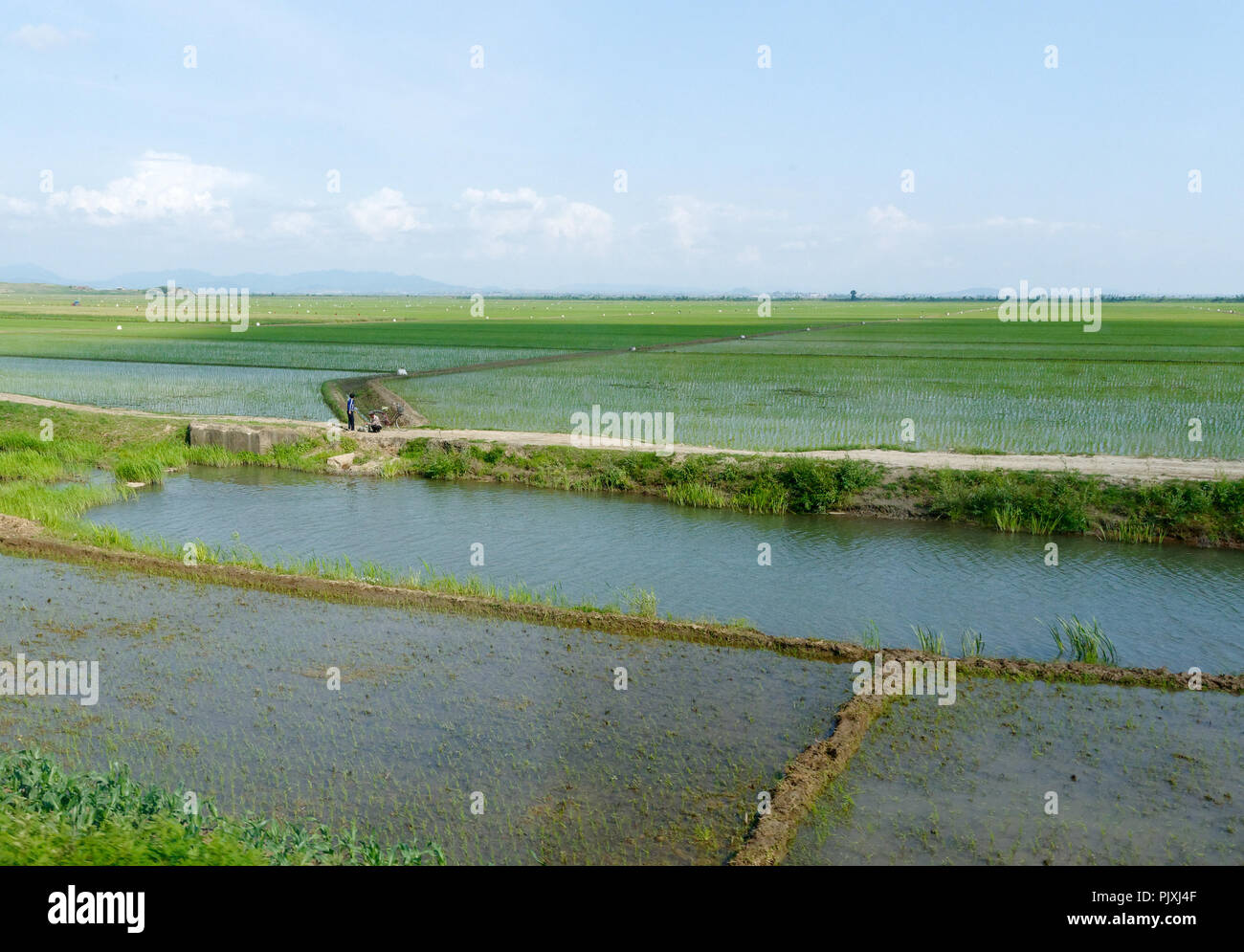 The vst, almodt empty, rice fields of North Korea Stock Photo - Alamy