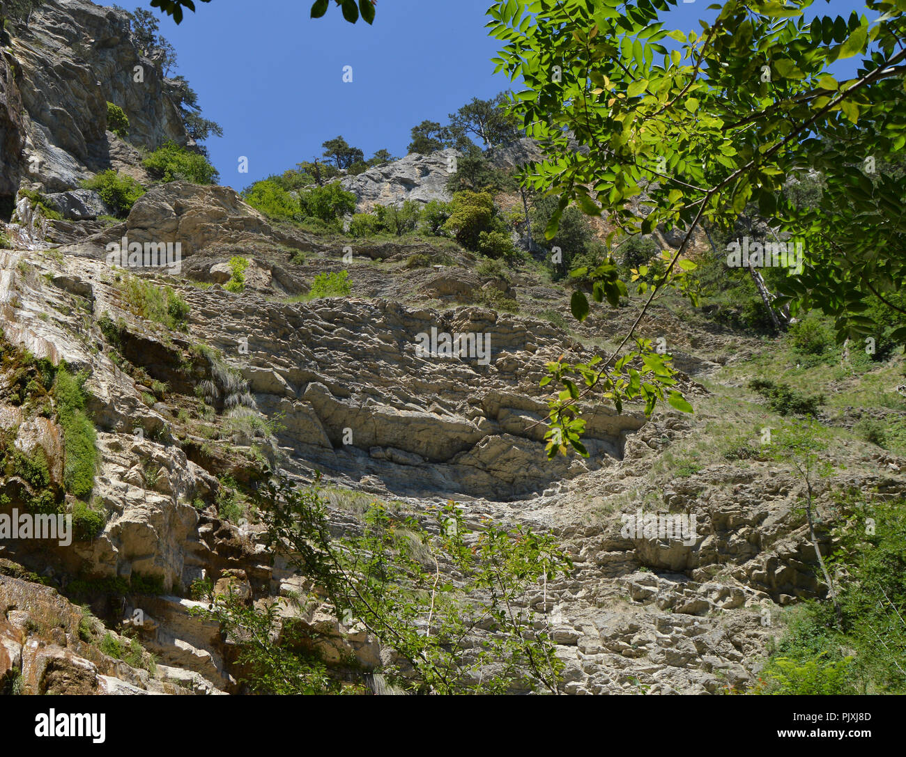 Bottom view of rocks and mountains, the concept of ecosystem ...