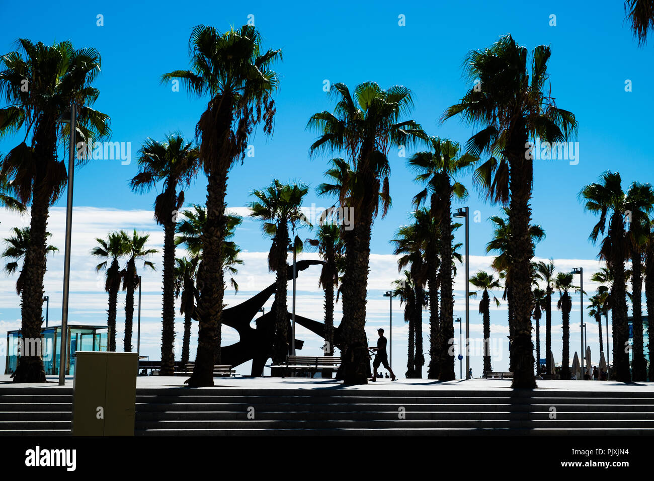 Barcelona palm tree hi-res stock photography and images - Alamy