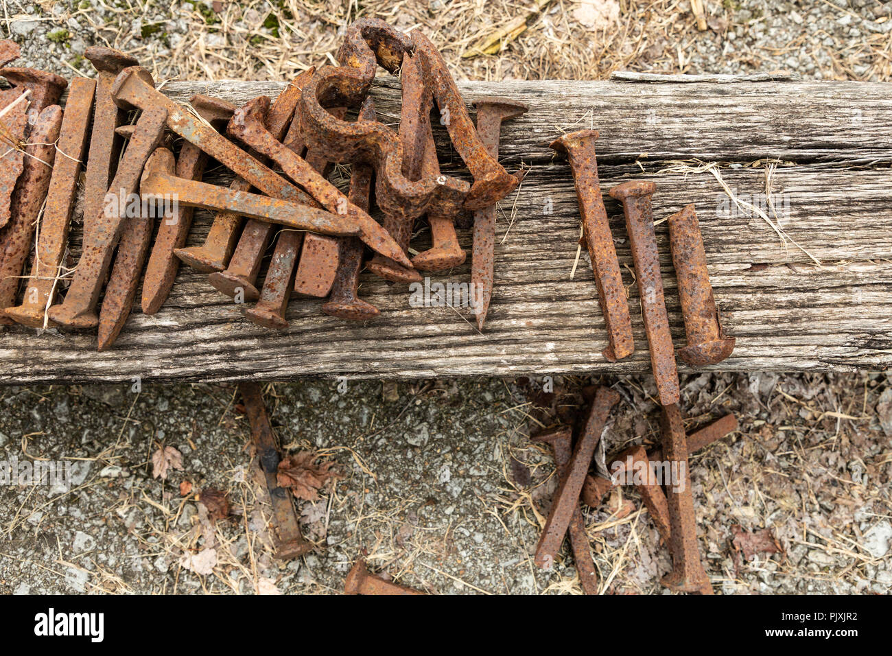 rusty railroad spikes on a wooden tie Stock Photo - Alamy