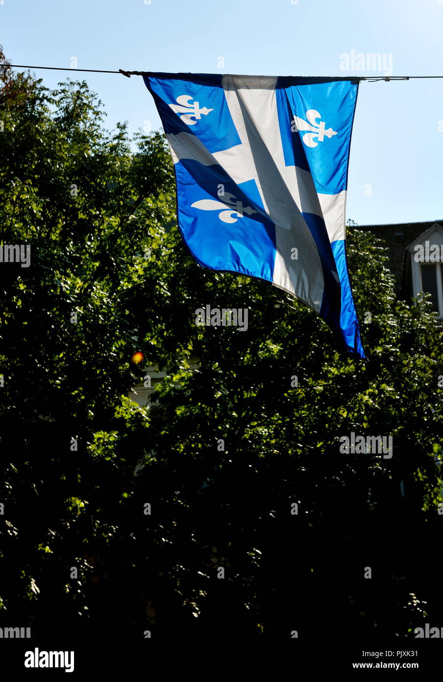 Flag of the wallonie hi-res stock photography and images - Alamy