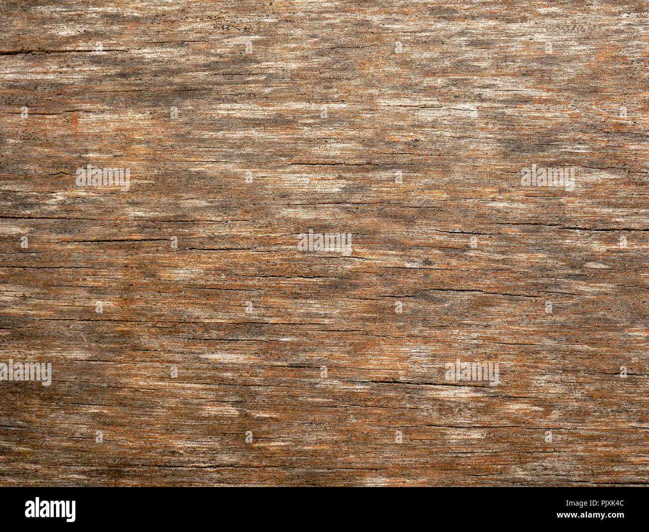 Wood plank wood Texture background for design Stock Photo - Alamy