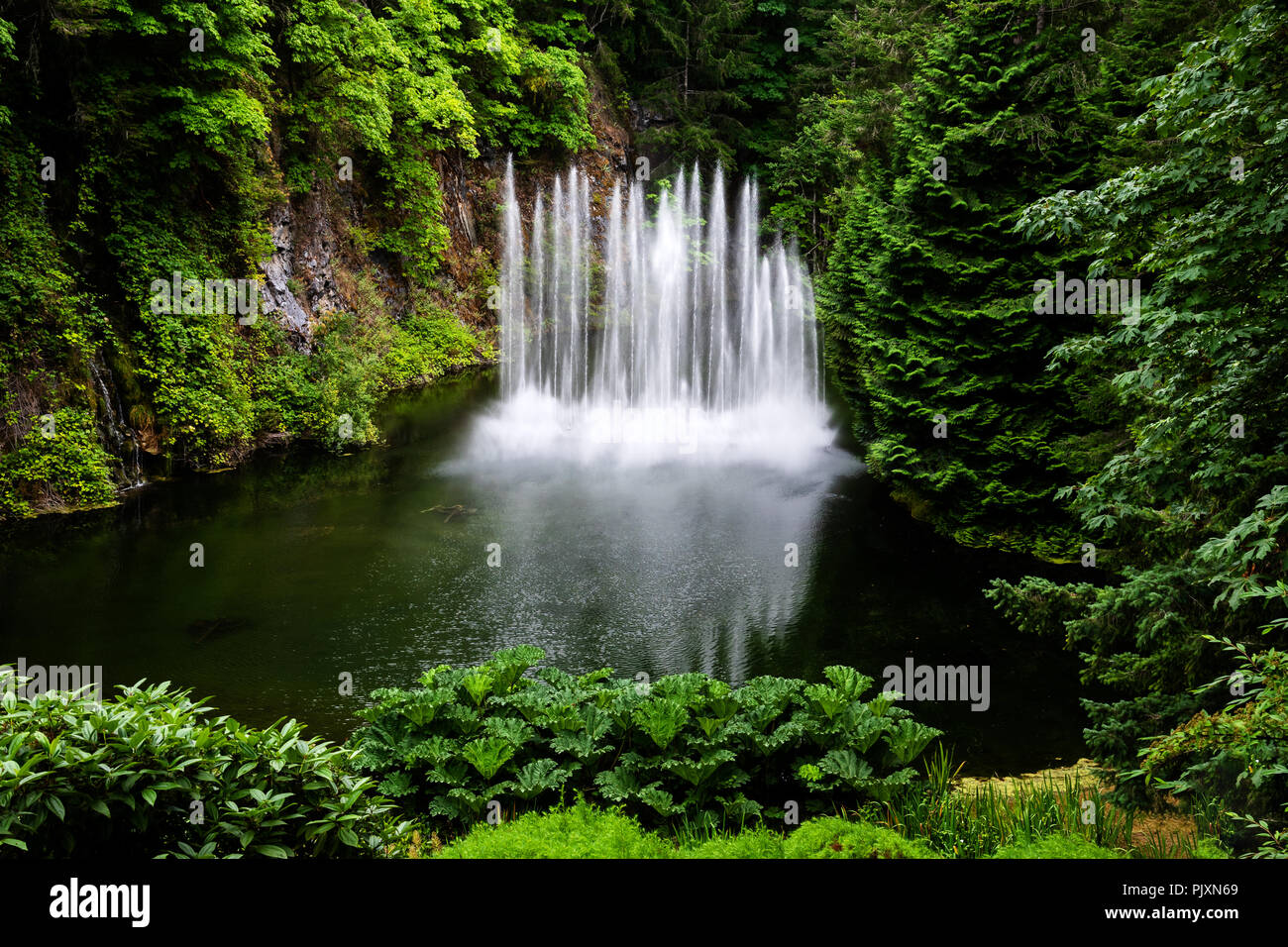 The ross fountain butchart gardens hi-res stock photography and images ...