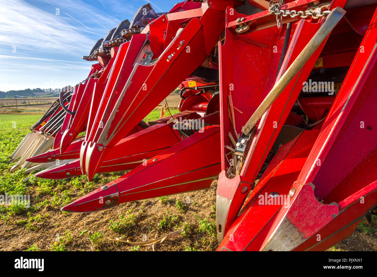 Combine harvester 'corn head cutter' for maize and sunflowers - France ...