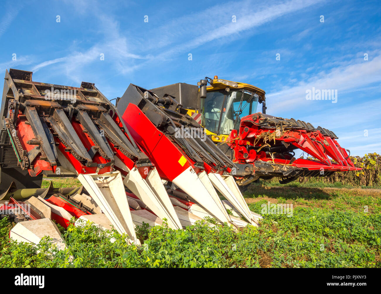 Combine harvester 'corn head cutter' for maize and sunflowers - France ...