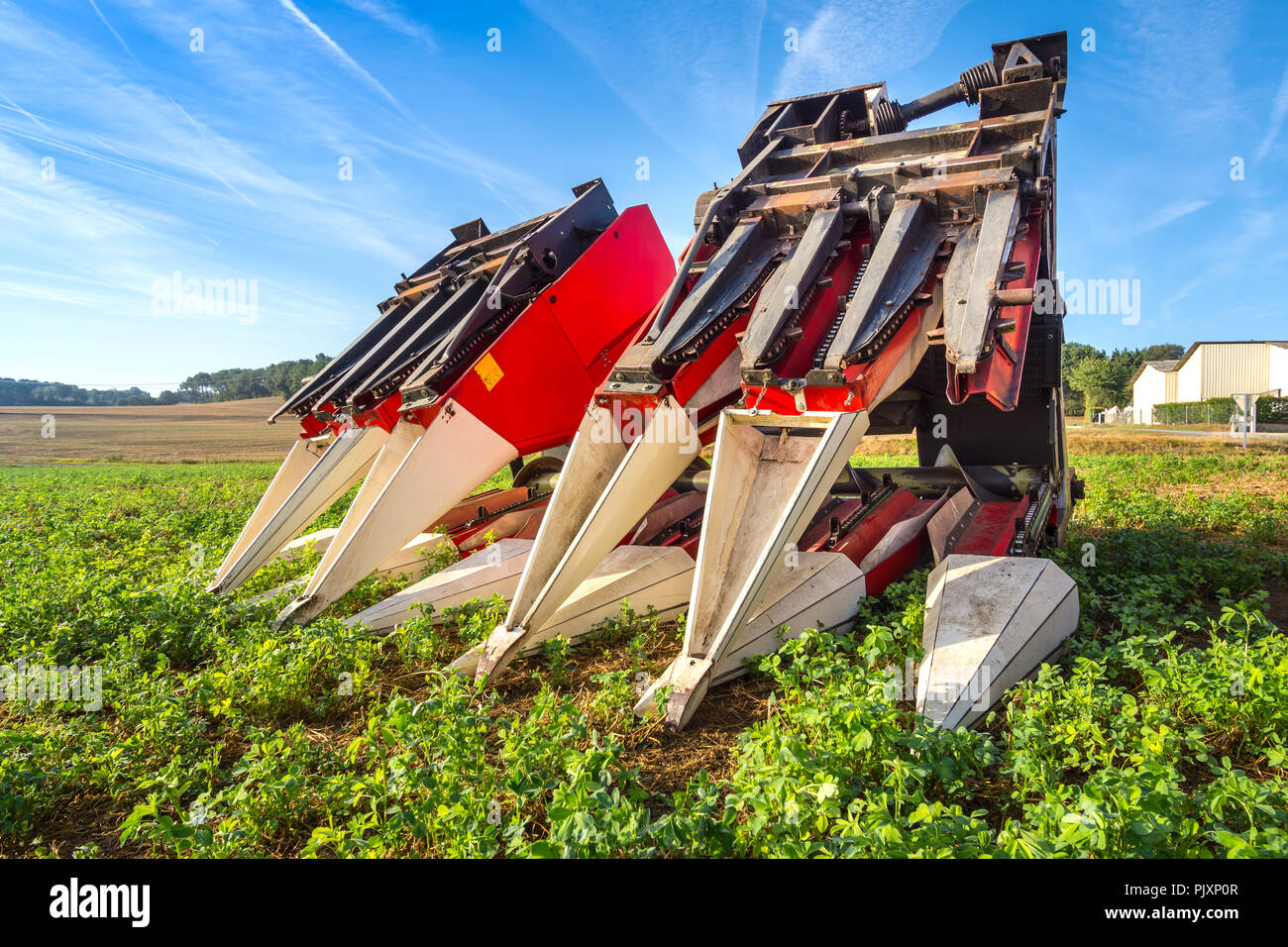 Combine harvester 'corn head cutter' for maize and sunflowers - France ...