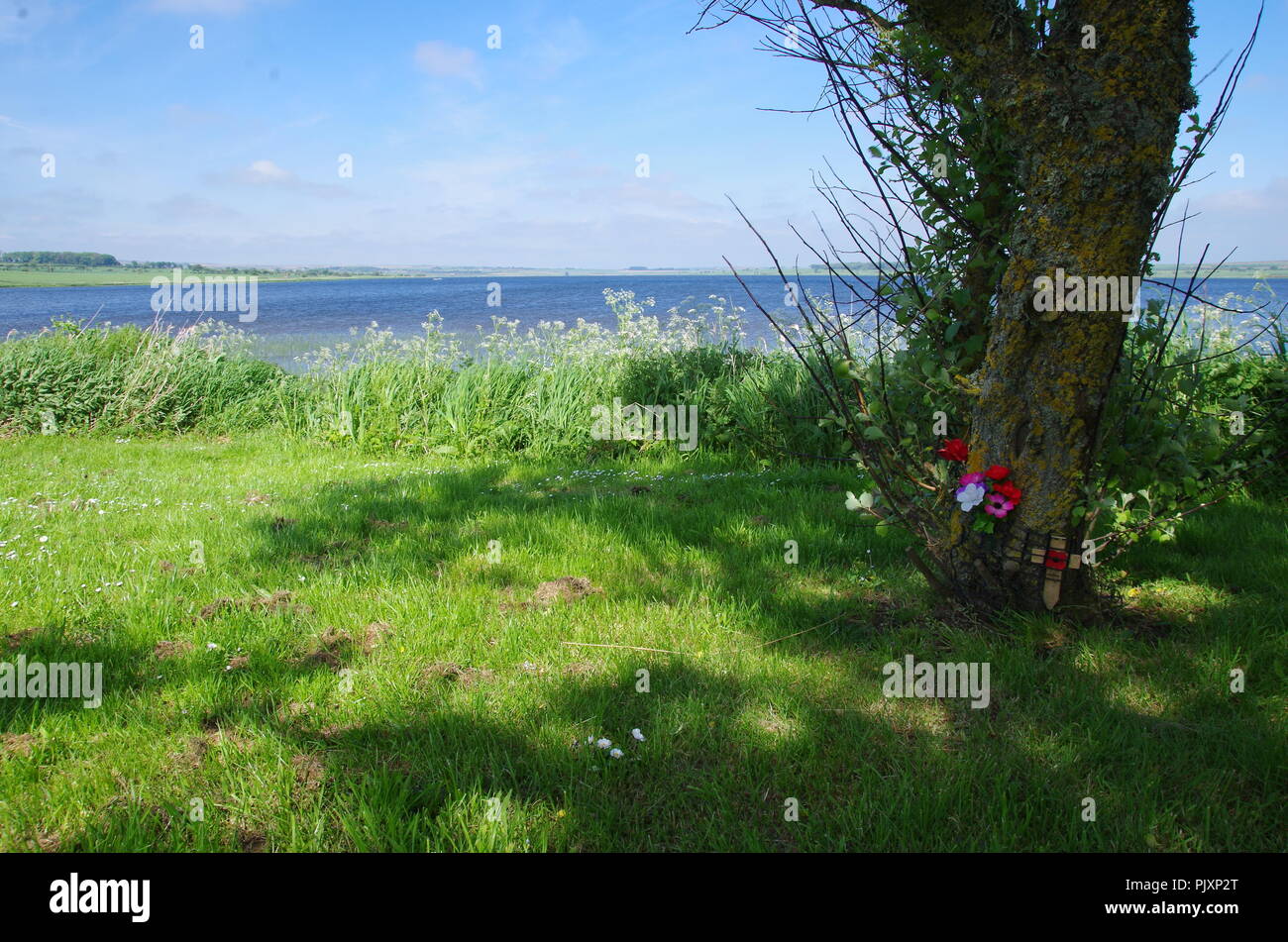 poppies. Watten loch. John o' groats (Duncansby head) to lands end. End ...