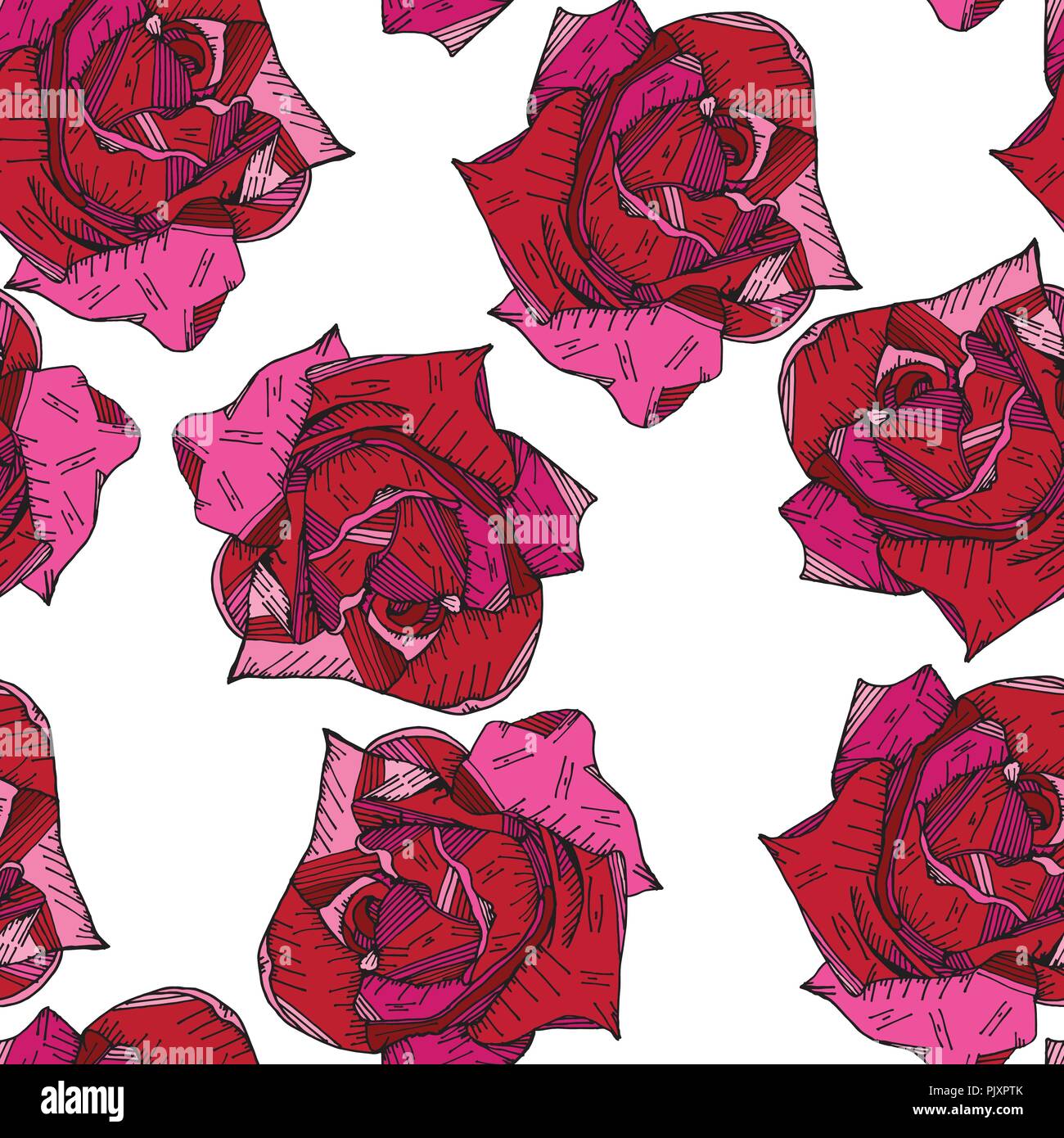 red pink rose floral hand drawn pattern background vector Stock Vector ...