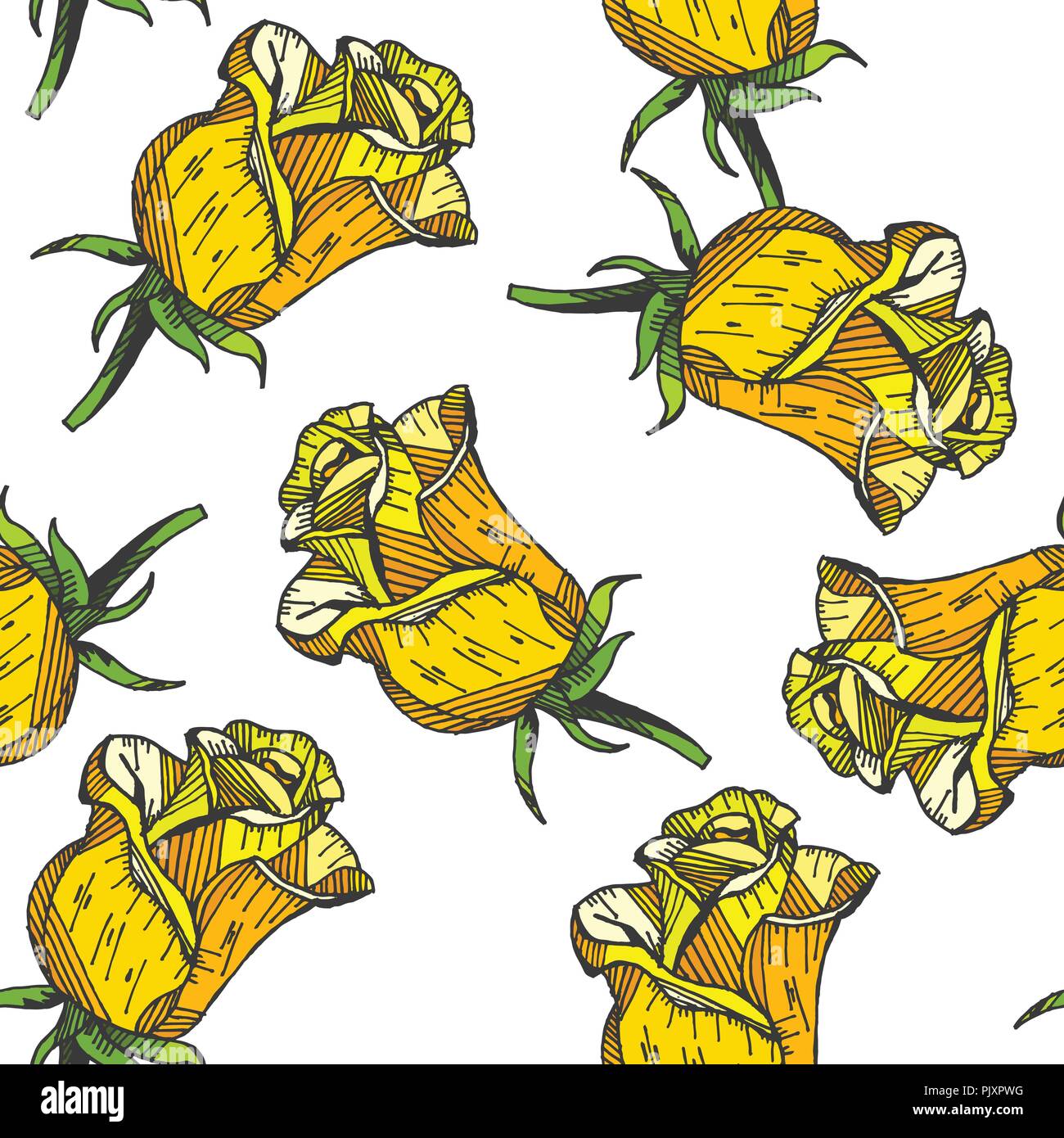 yellow rose floral hand drawn pattern background vector Stock Vector ...