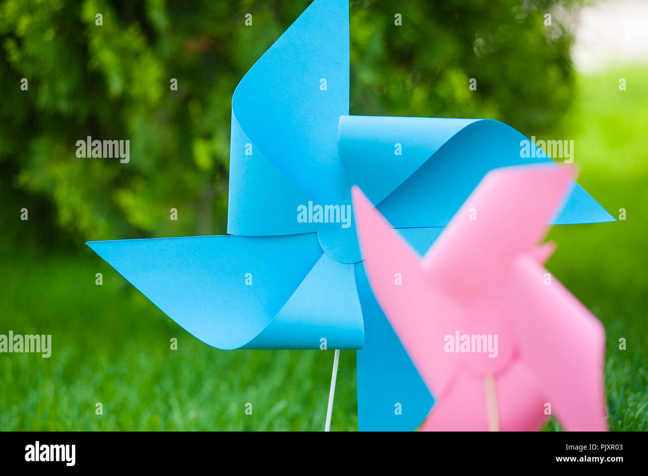 Blue and pink pinwheels close up outdoors Stock Photo - Alamy
