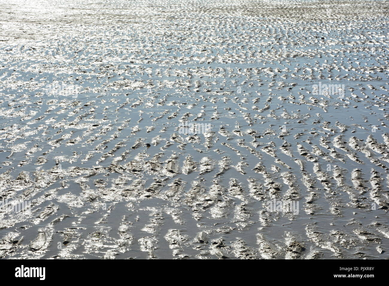 Ripple marks hi-res stock photography and images - Alamy