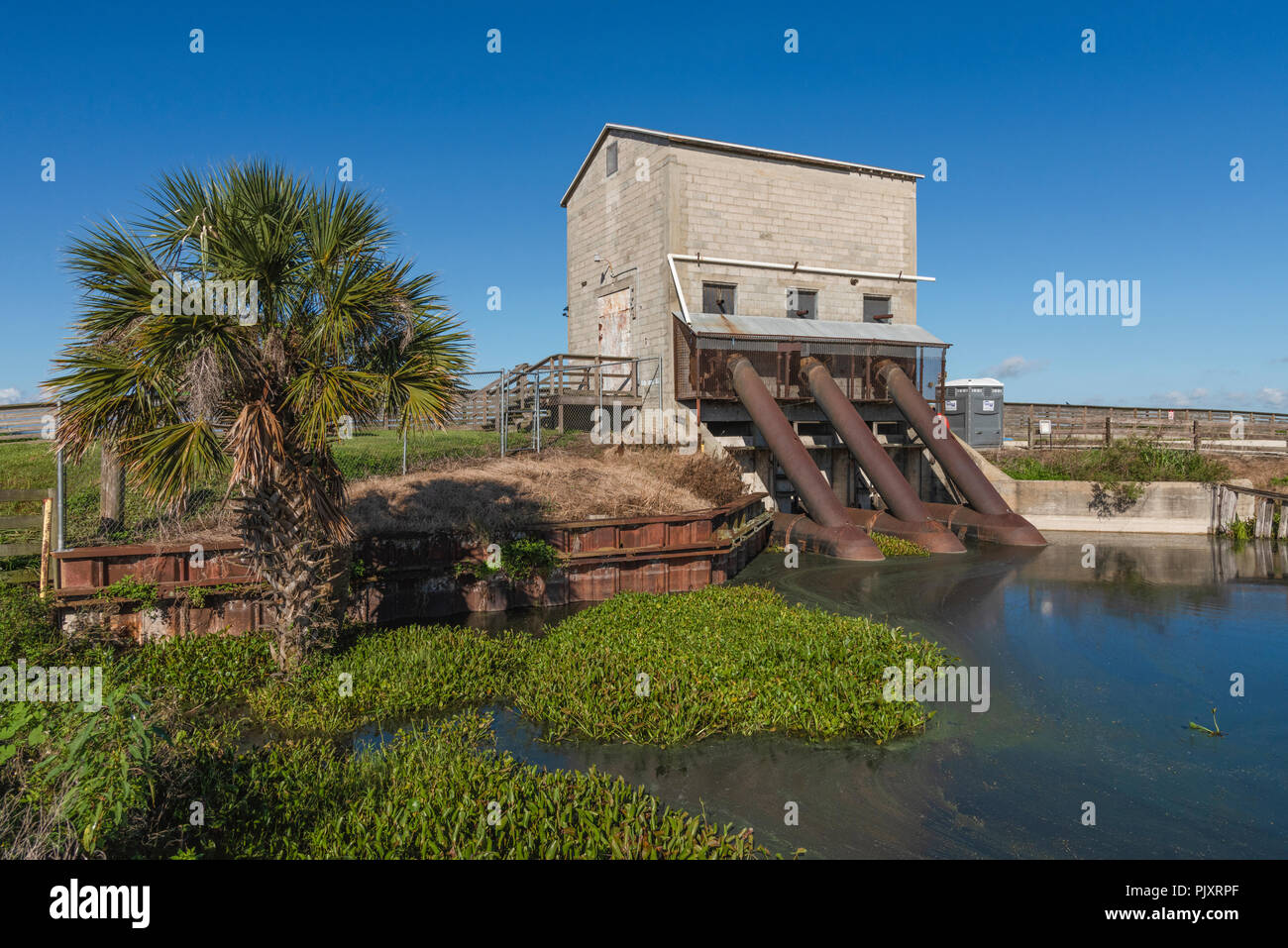 Central Florida Marsh Wetlands Stock Photo - Alamy