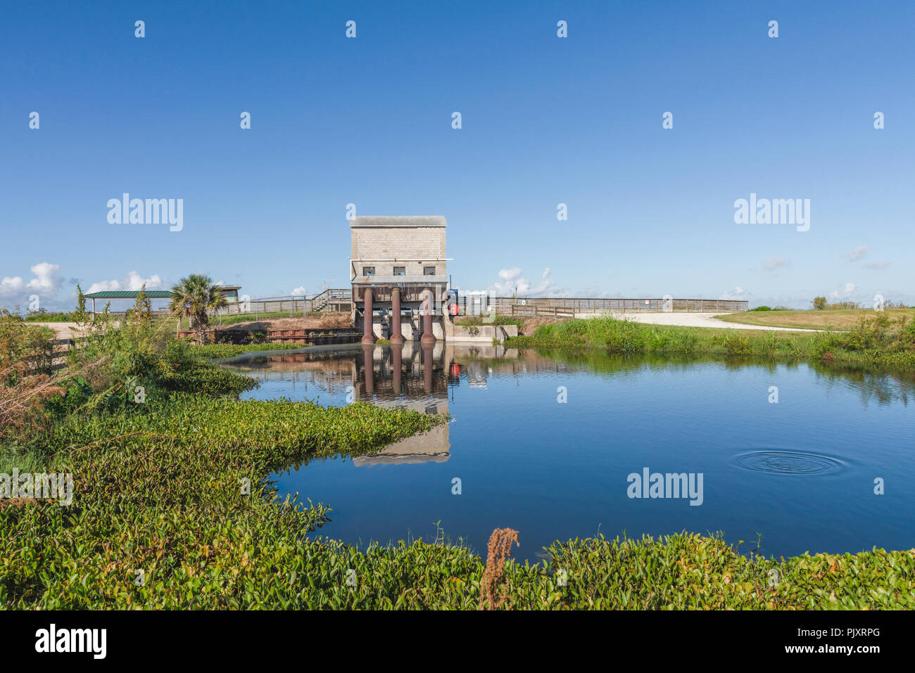 Central Florida Marsh Wetlands Stock Photo - Alamy