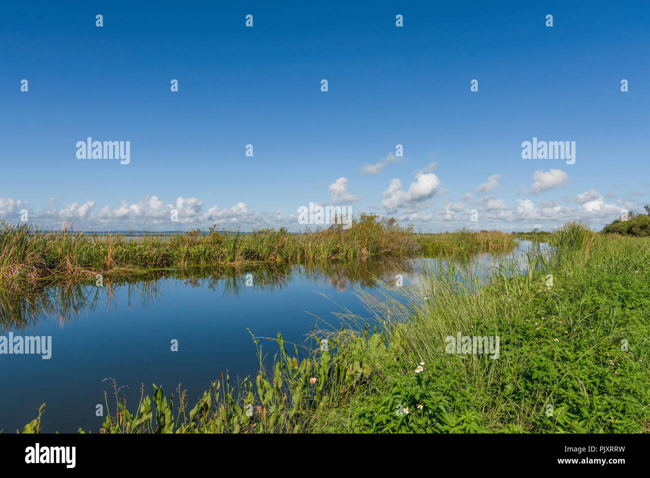 Wetlands loop hi-res stock photography and images - Alamy