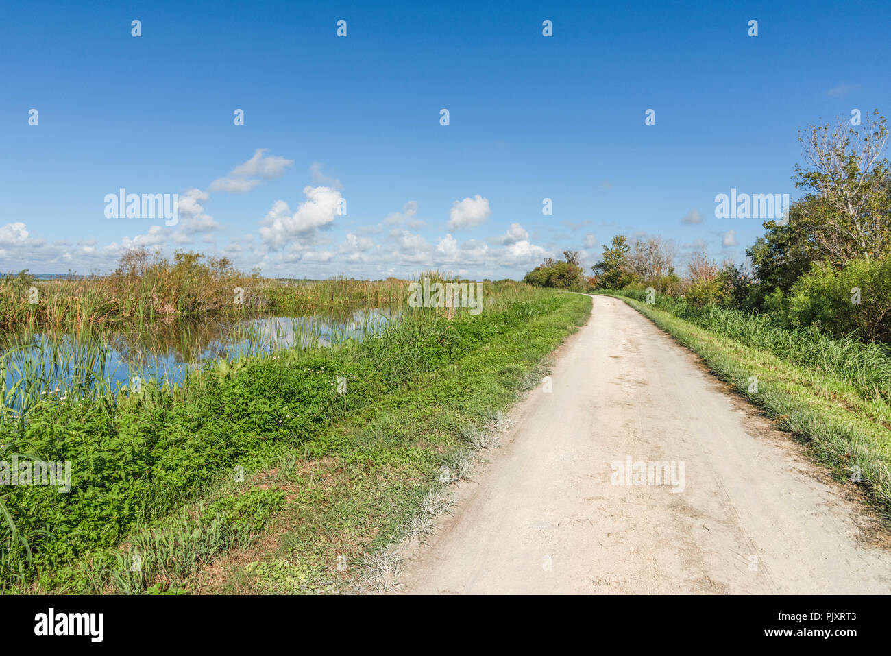 Wetlands loop hi-res stock photography and images - Alamy