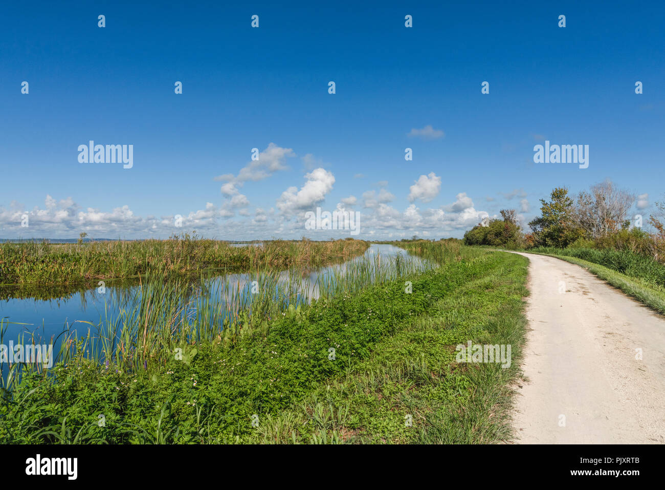 Florida marsh hi-res stock photography and images - Alamy
