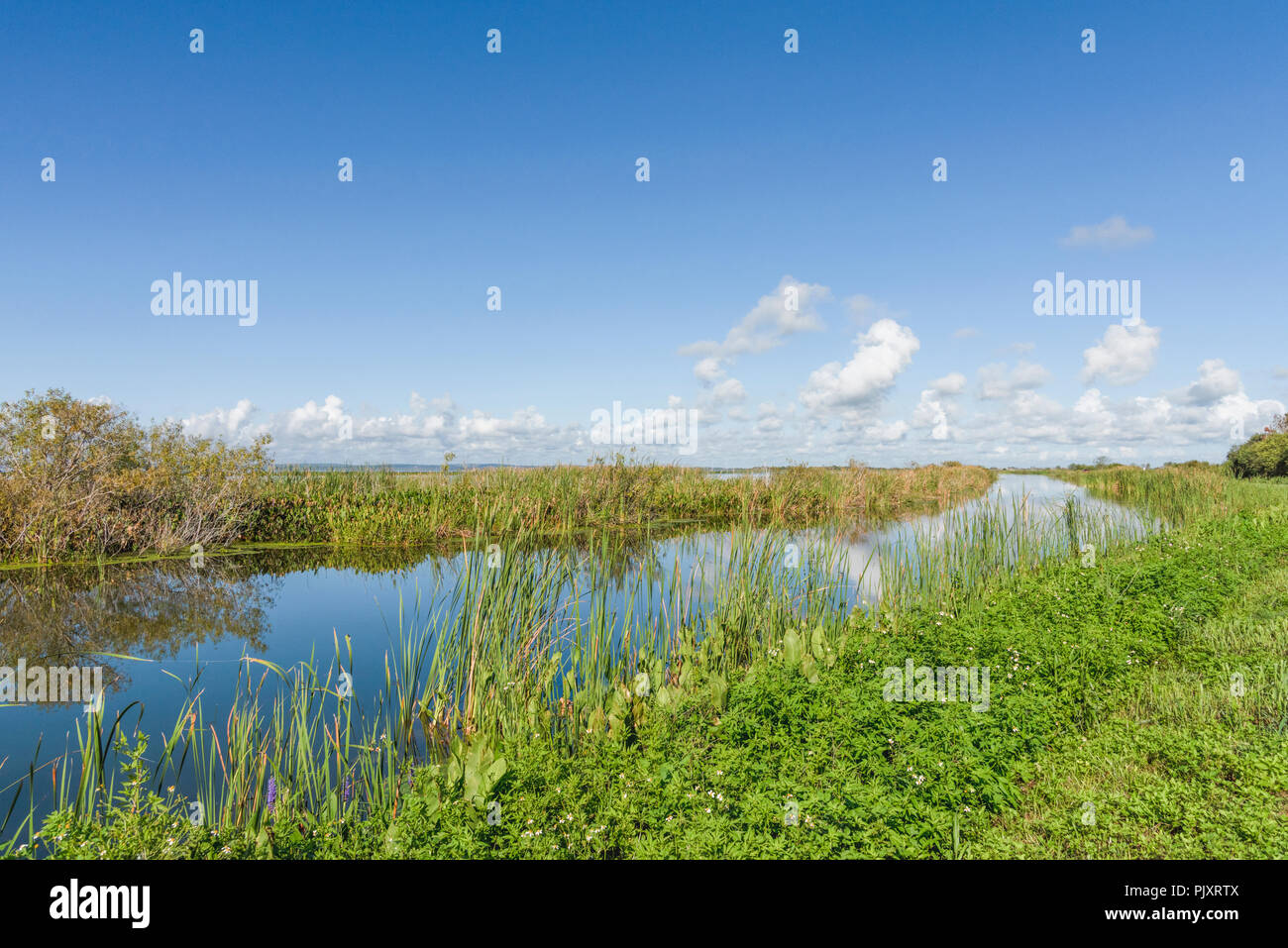 Wetlands loop hi-res stock photography and images - Alamy