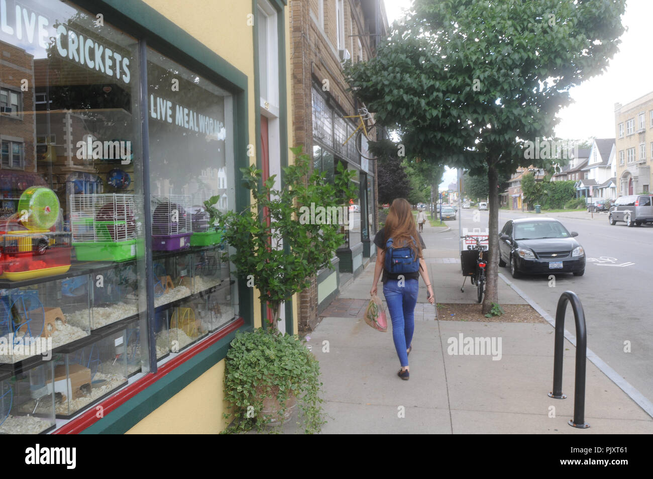 Streetscape and sidewalk of Monroe Avenue, Rochester NY, USA Stock ...