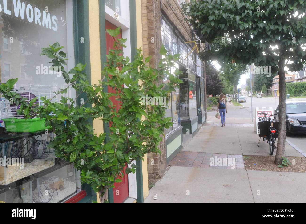 Streetscape and sidewalk of Monroe Avenue, Rochester NY, USA Stock ...