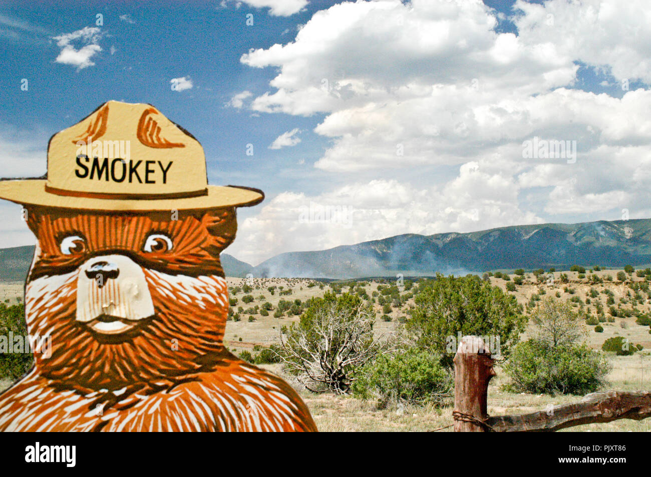 Smokey the Bear with a forest fire in the background Stock Photo - Alamy