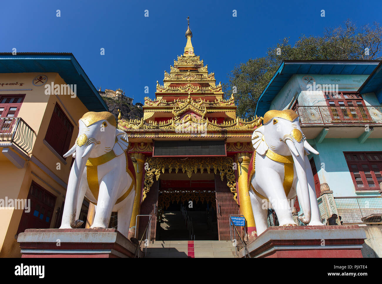 Asian elephants myanmar hi-res stock photography and images - Alamy
