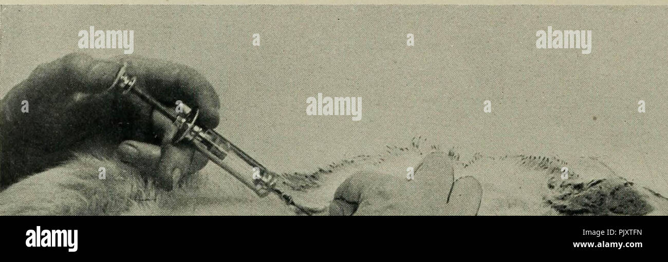 "Postmortem pathology; a manual of the technic of post-mortem ...