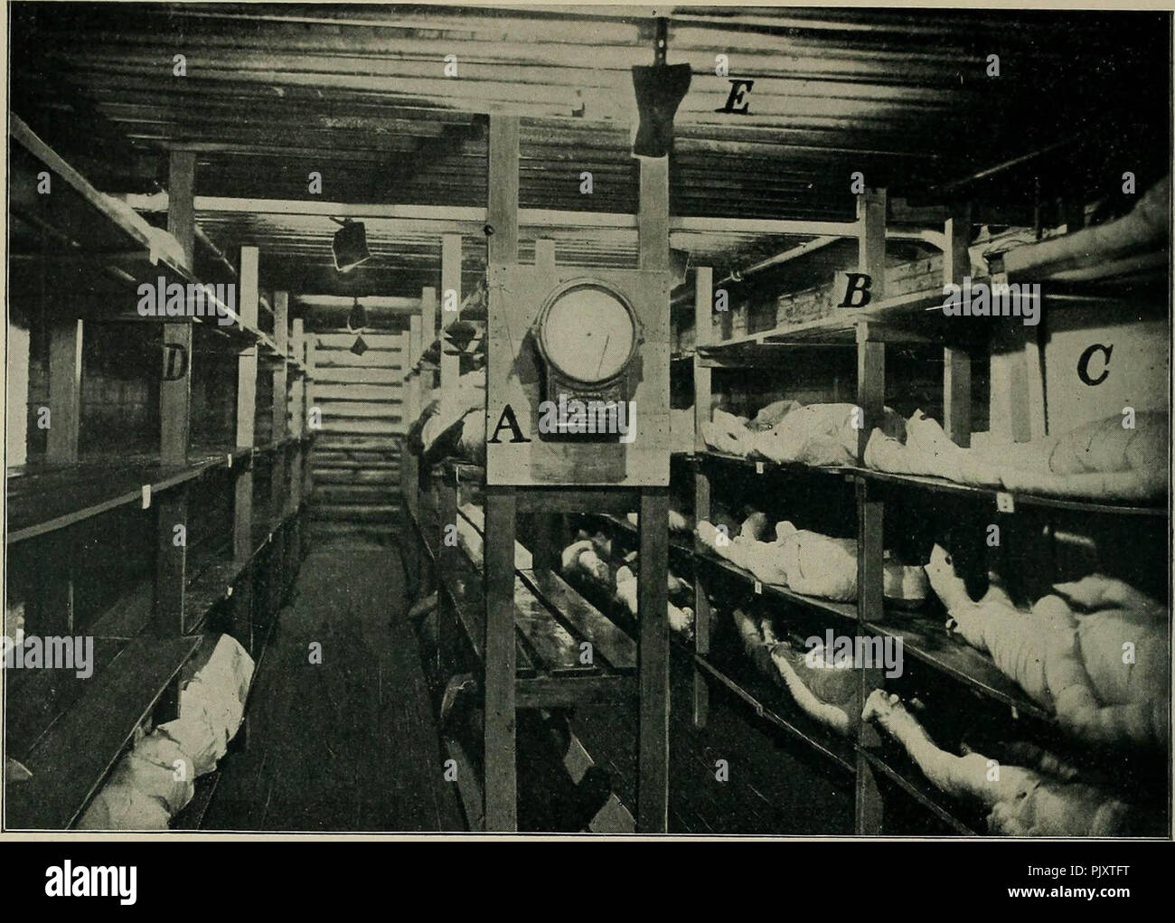 "Postmortem pathology; a manual of the technic of post-mortem ...