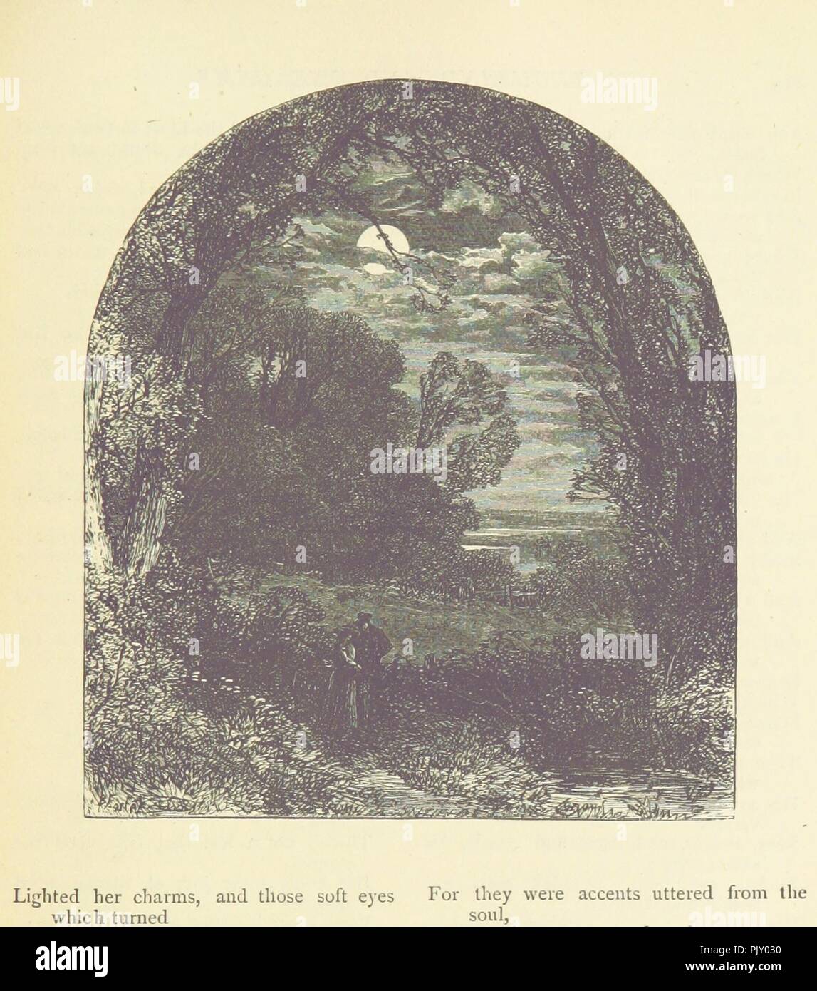 Thousand gems hi-res stock photography and images - Alamy