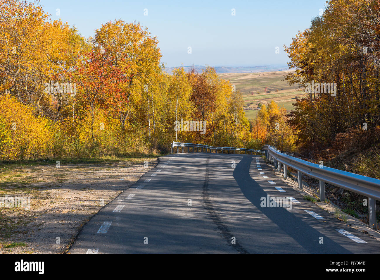Empty road leading through fall foliage forest in the autumn Stock ...