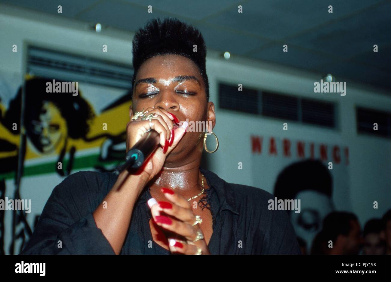 Adeva, afroamerikanische House- und RnB-Sängerin, bei einem Konzert in ...