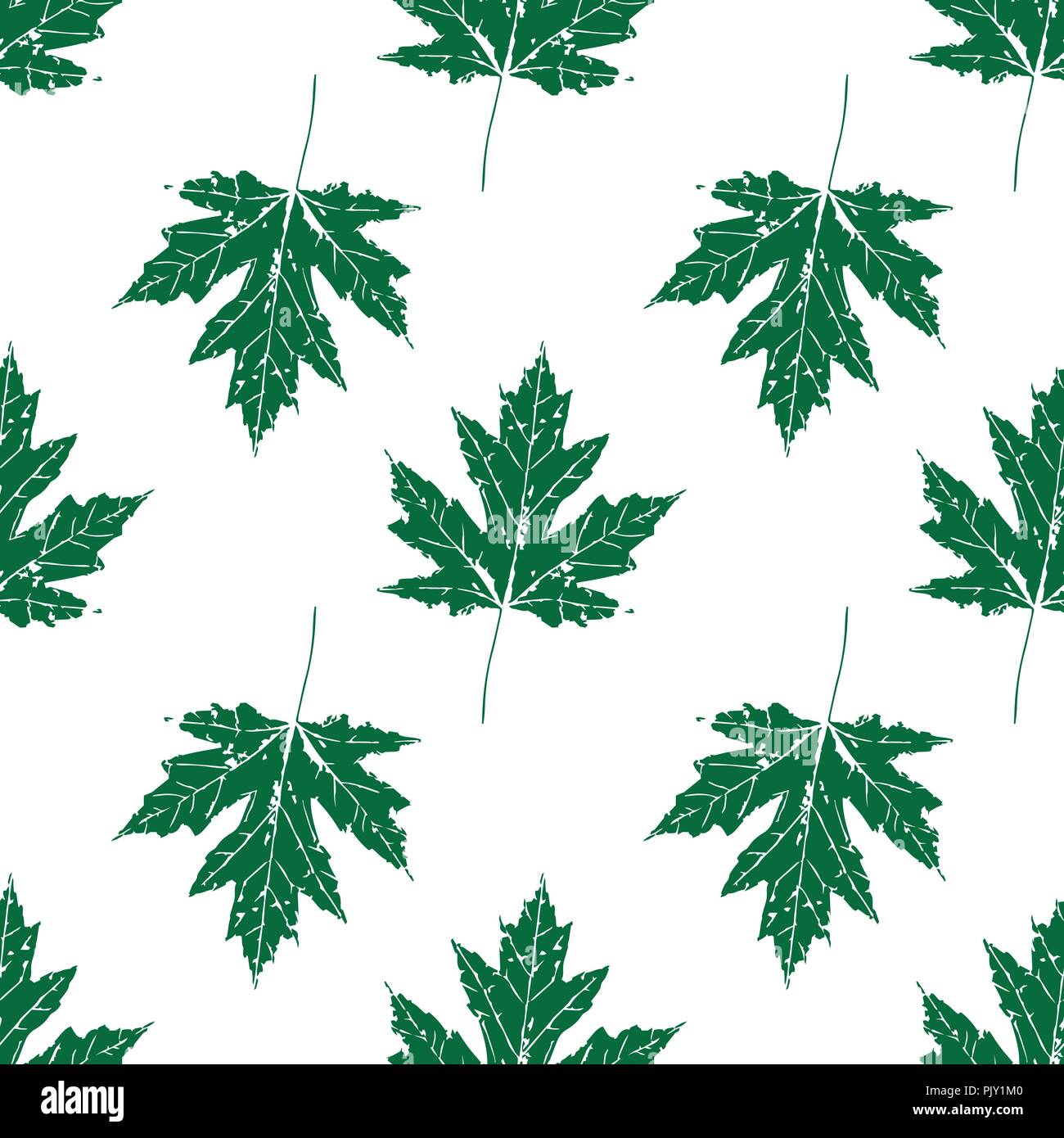 Prints of leaves of trees. Canadian Maple. Seamless pattern. Green ...