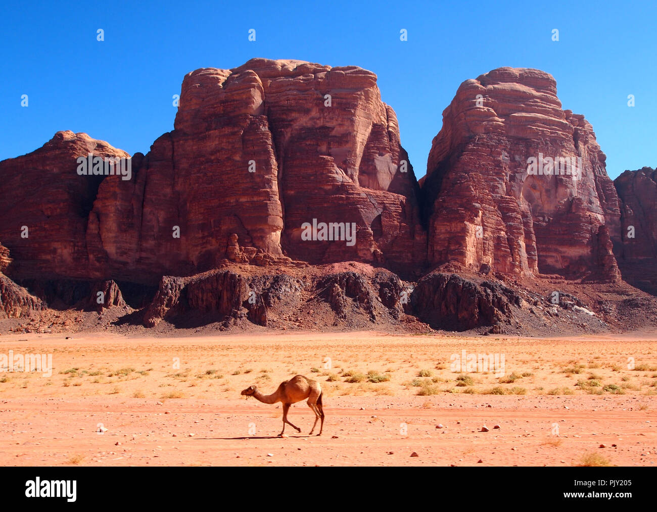 Wadi Rum, Jordan, Greatest Wadi, Steep Mountains, Red Sandstone, Basalt ...