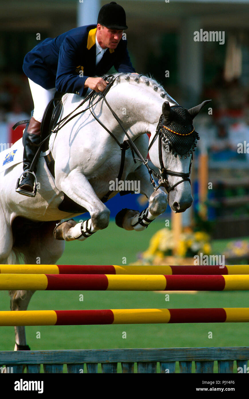 CSI Monterrey 1996, Jos Lansink (NED) riding Visa Carthago Z Stock ...