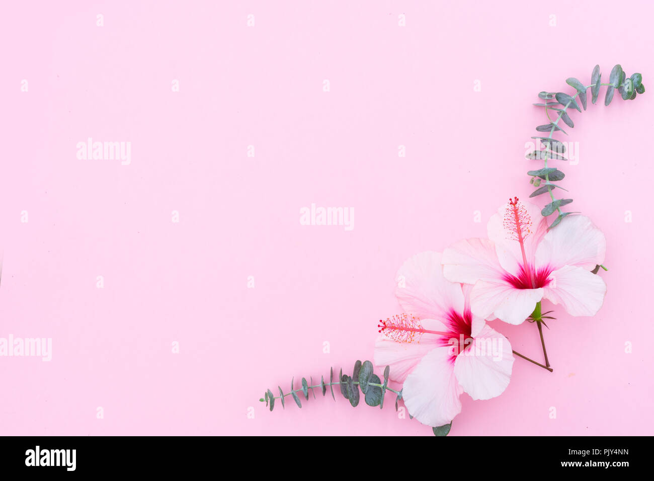 Wellness background with hibiscus flower Stock Photo - Alamy
