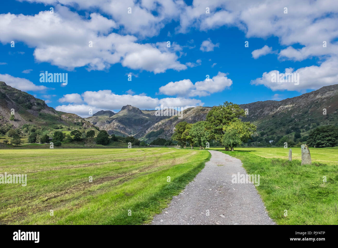 Pastoral scenes hi-res stock photography and images - Alamy