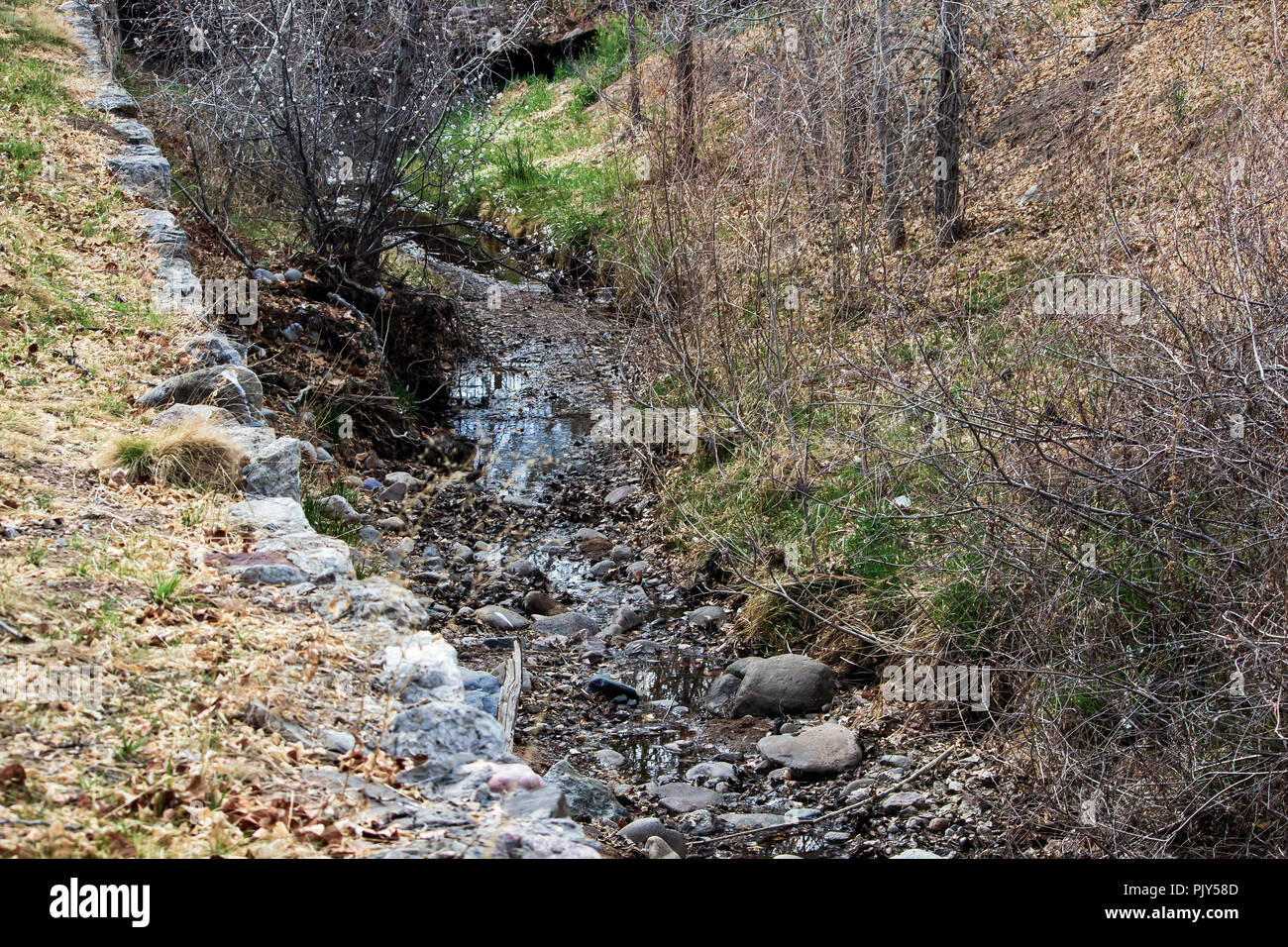 The Santa Fe river flows through the wilderness Stock Photo - Alamy