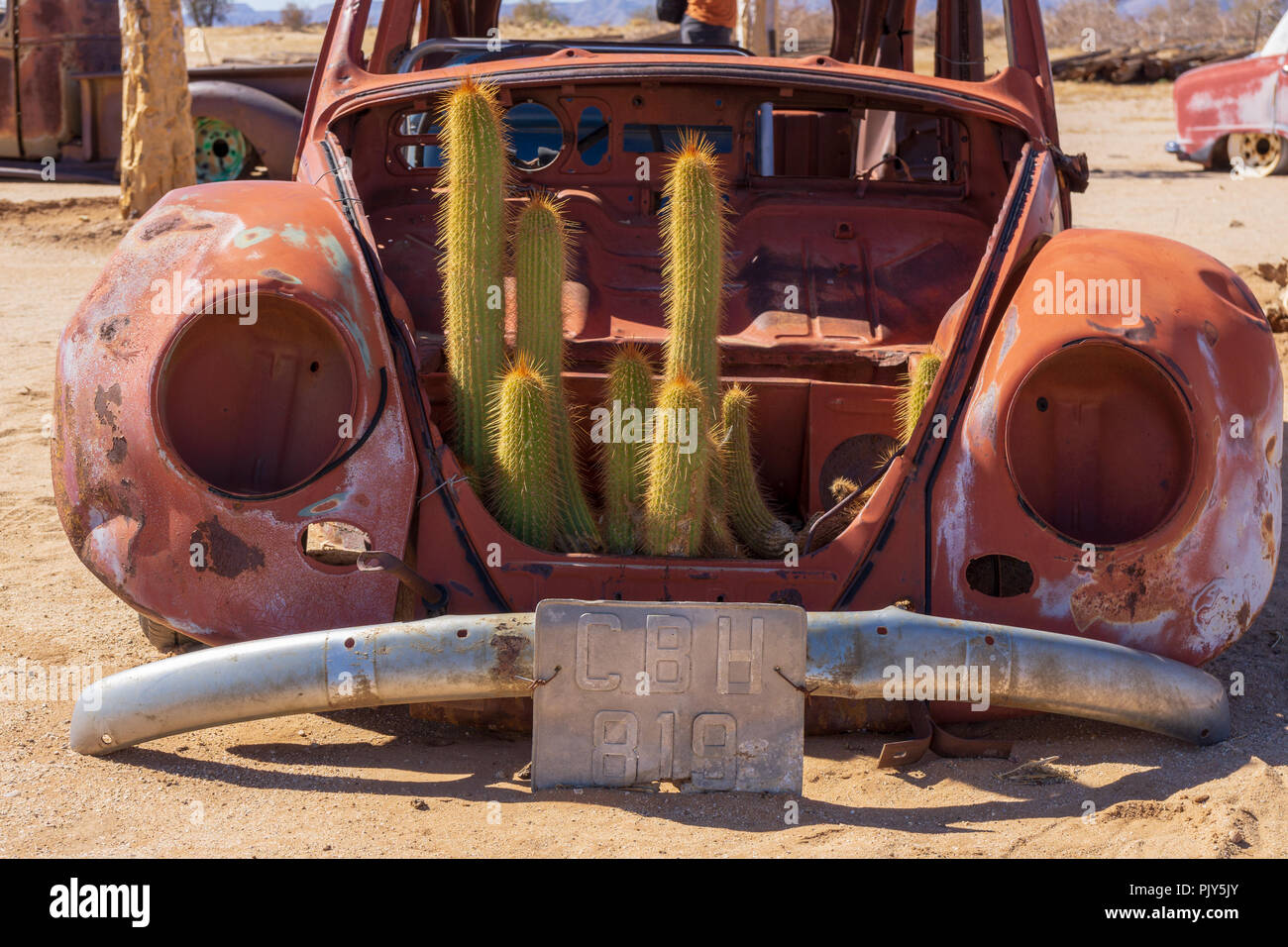 cactus car rust old desert summer Stock Photo - Alamy
