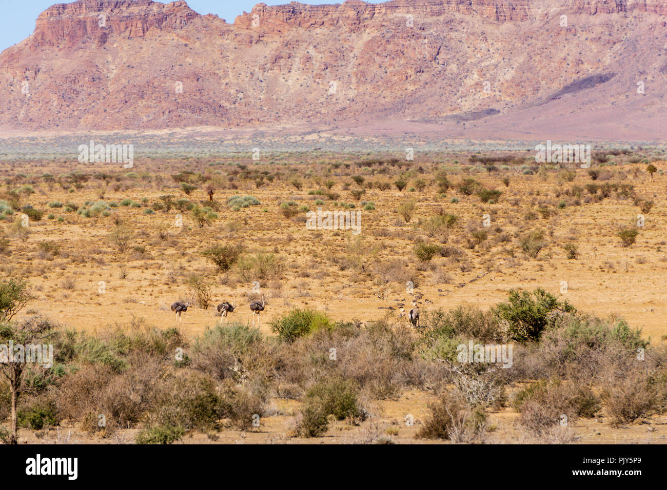 Namibia Africa rocks Stock Photo - Alamy