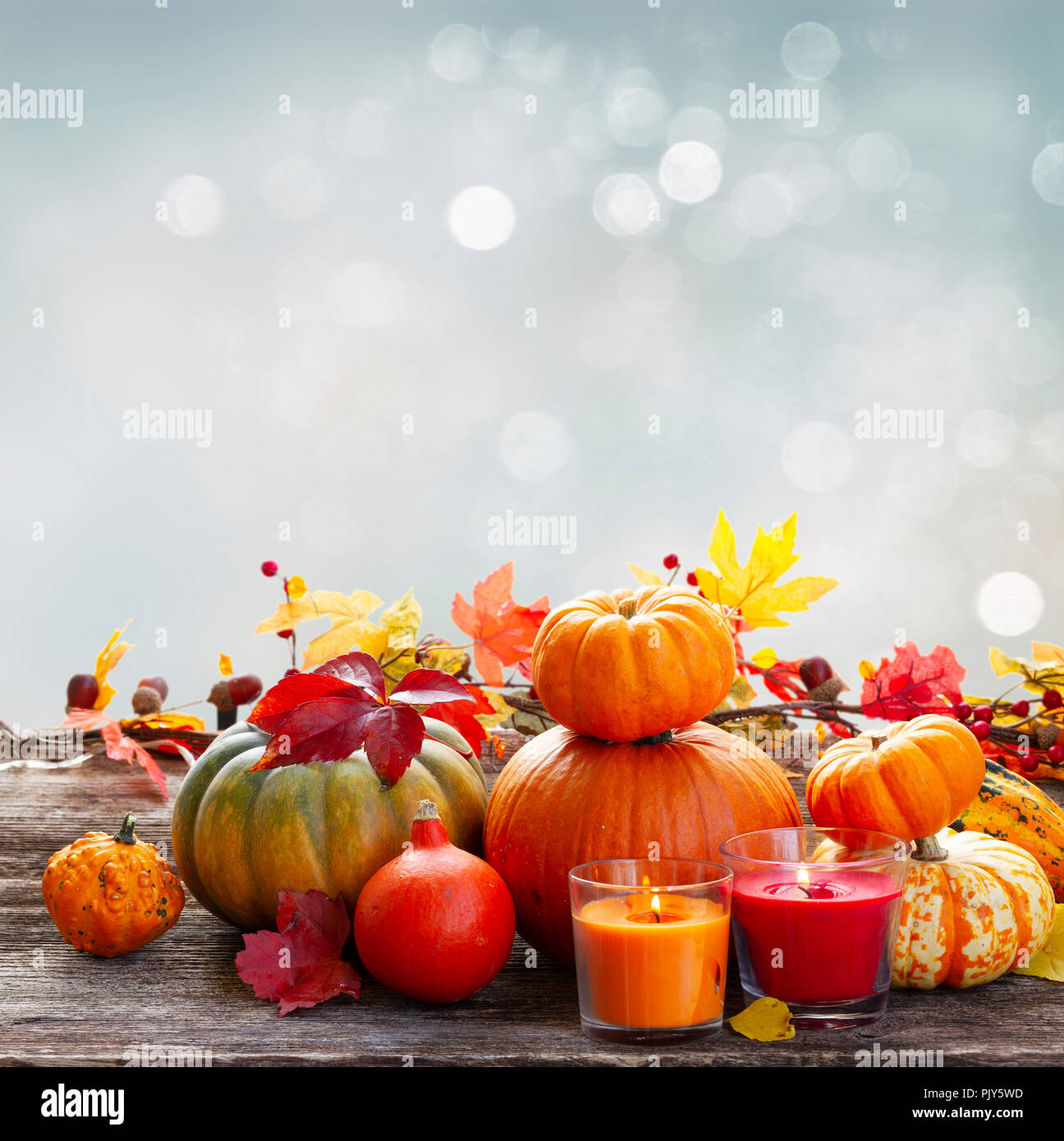 Fall harvest of pumpkins Stock Photo - Alamy