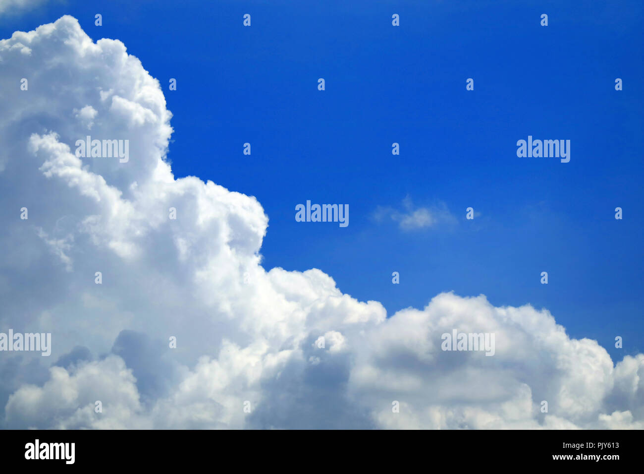 Pure White Fluffy Cumulus Cloud on the Vivid Blue Sky, Texture ...