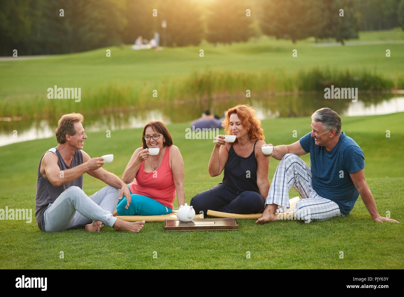 Mature people having tea party on the grass Stock Photo - Alamy