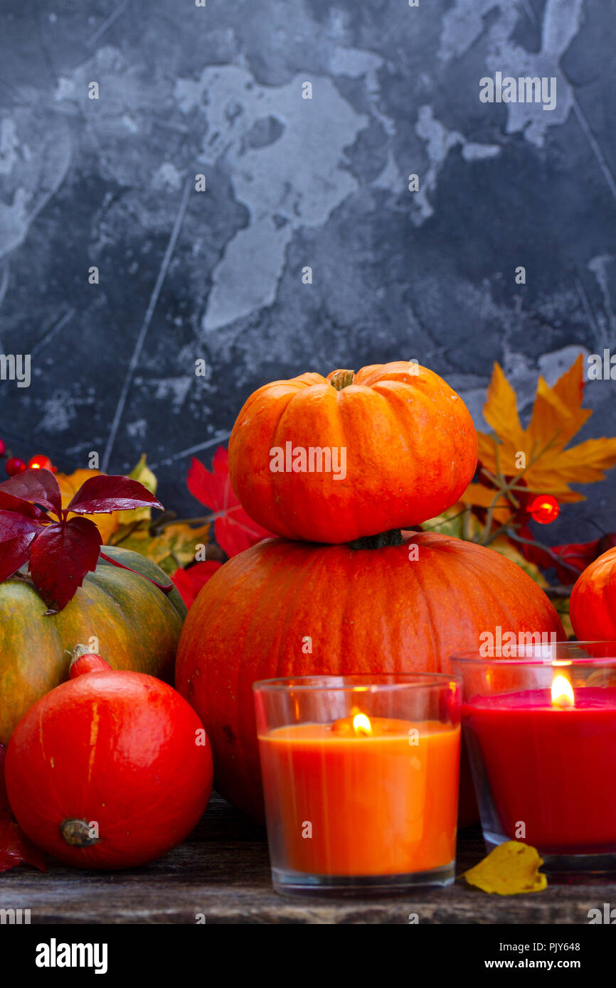 Fall harvest of pumpkins Stock Photo - Alamy