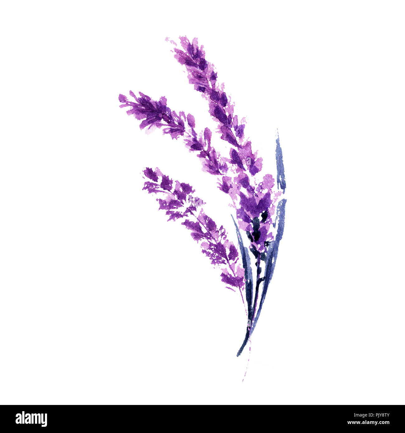 Single Lavender Sprig