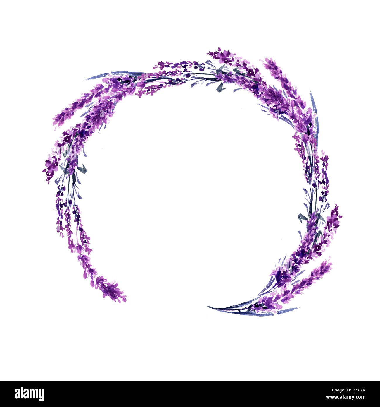 Lavender flower round twig watercolor illustration. Circle lavender ...