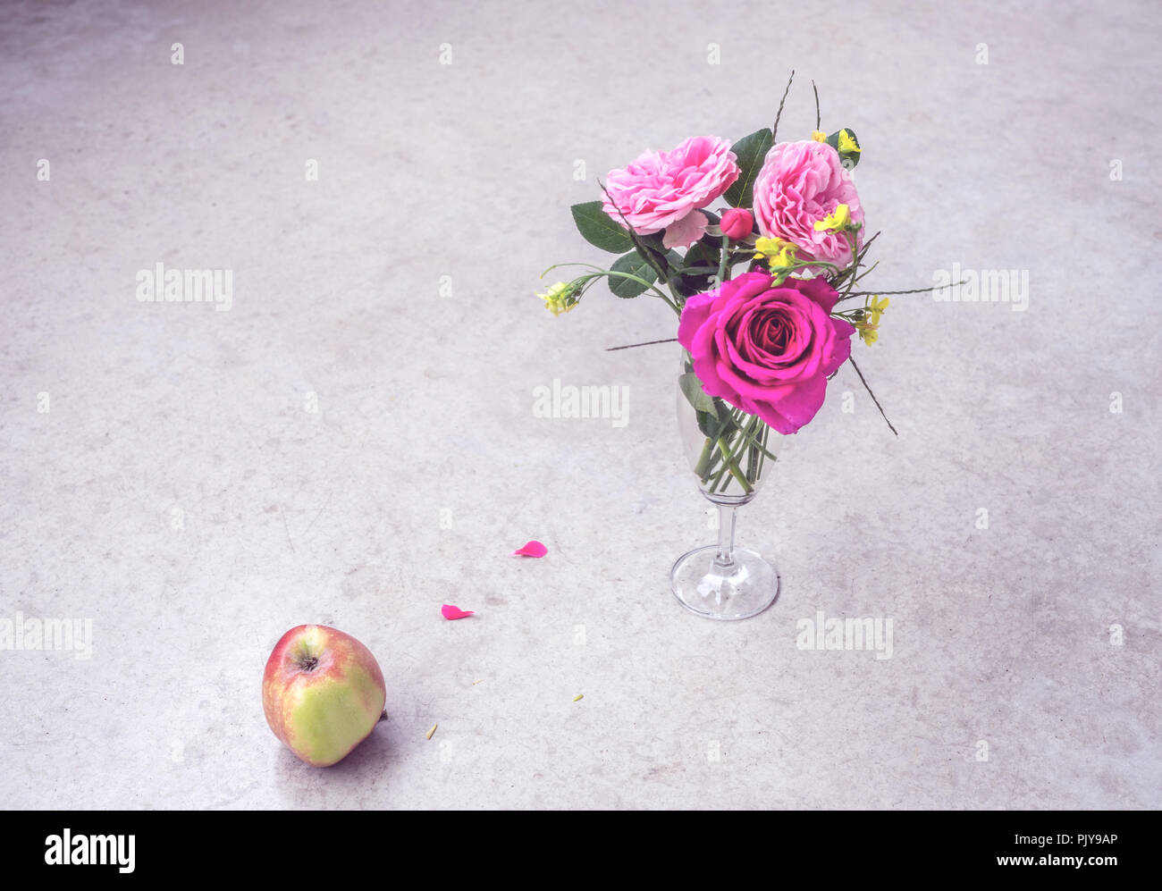 Fine art rose background hi-res stock photography and images - Alamy