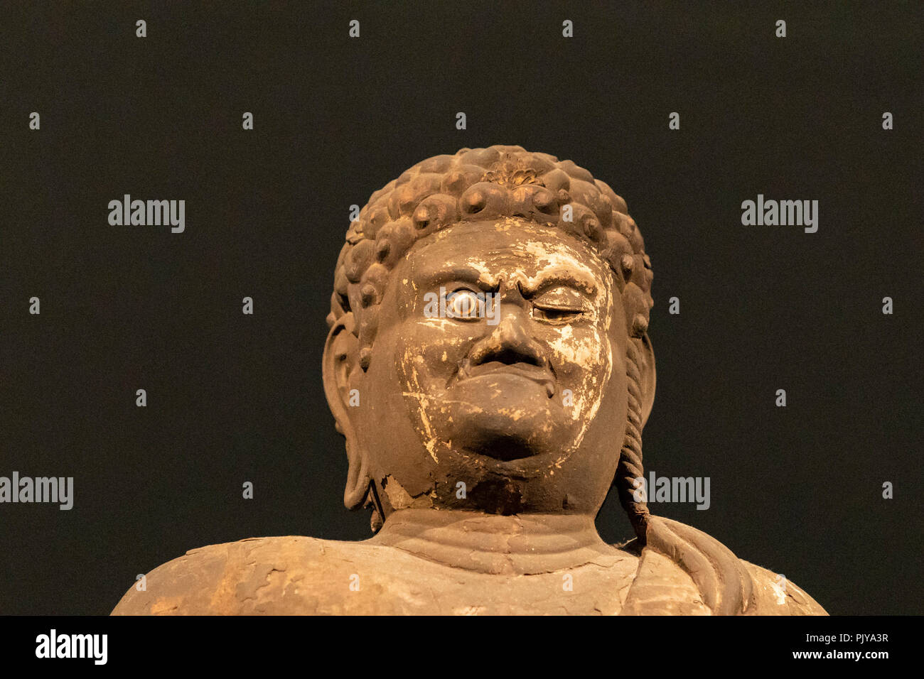 Acalanatha hi-res stock photography and images - Alamy