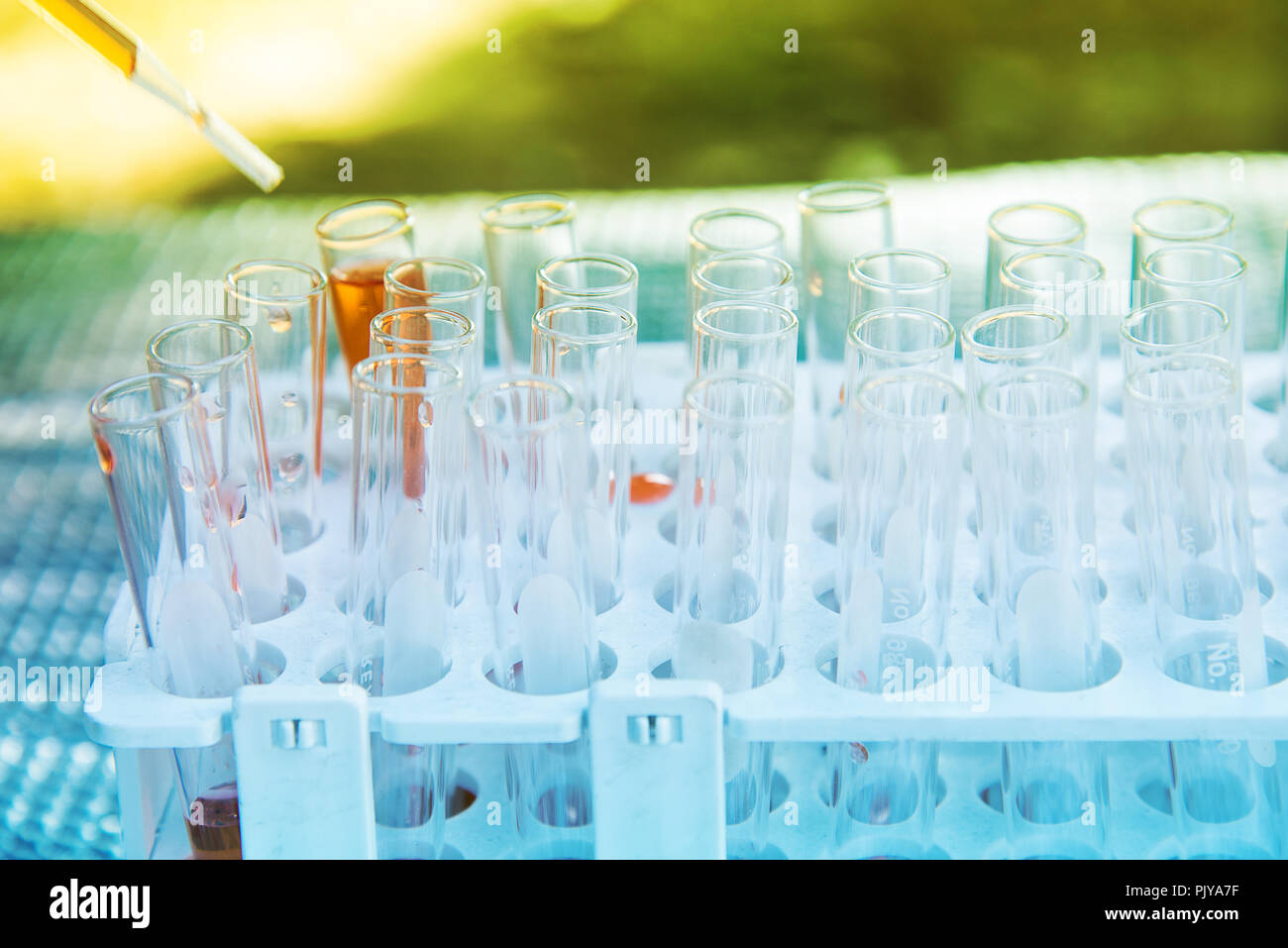 Lab science research glass items adding drop to one of several test ...