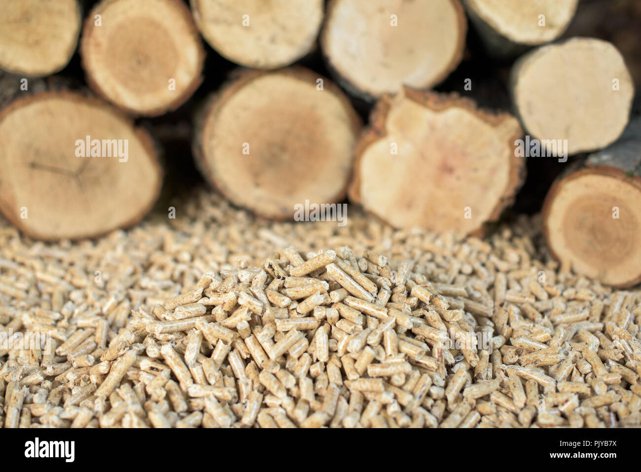 Beech pellets in front of pile of beech wood Stock Photo - Alamy