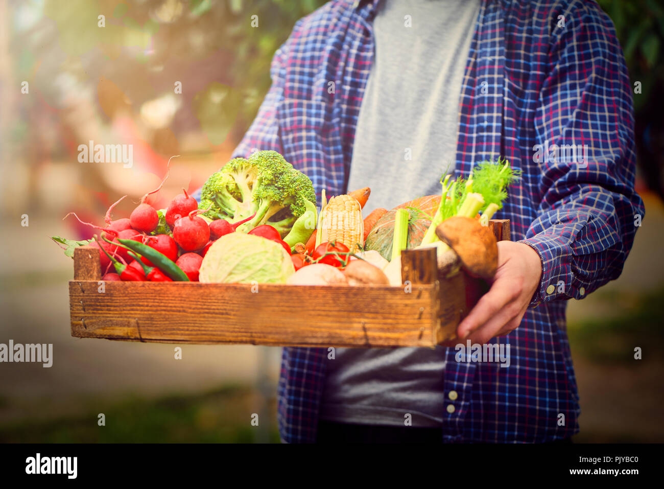 Farmers hands holding wooden box with different vegetables Stock Photo ...