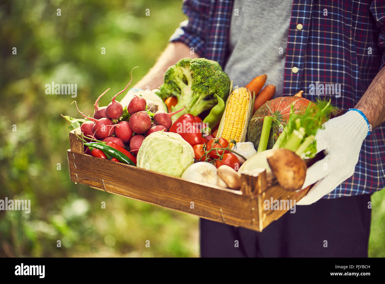 Farmers hands holding wooden box with different vegetables Stock Photo ...